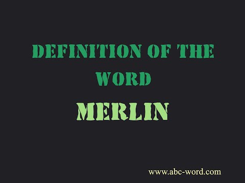 Definition of the word "Merlin"