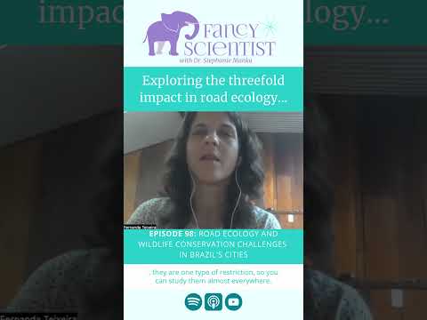 Exploring the threefold impact in road ecology