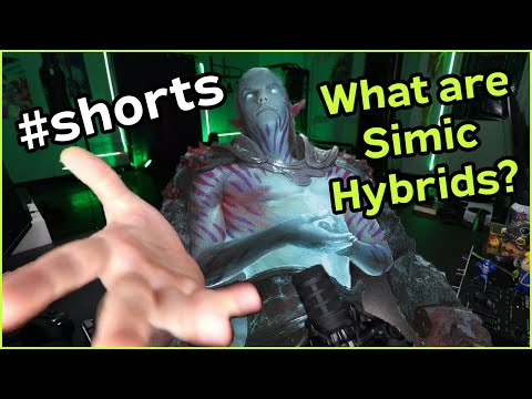 What is a Simic Hybrid in D&D?