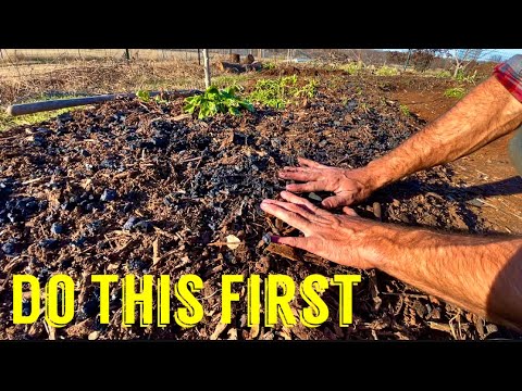 Best Way to Add Biochar to your Garden