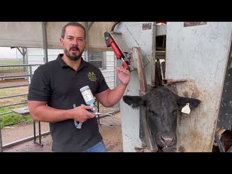 When Should We Use FerAppease? Dr. Bicalho Explains