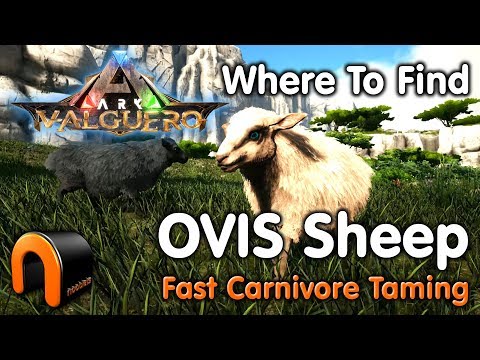 Comunidade Steam :: Vídeo :: ARK VALGUERO 3 Main Ovis Locations & Where ...