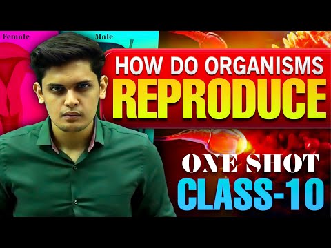 How Do Organisms Reproduce Complete Chapter🔥|Class 10th Science| NCERT covered| Prashant Kirad