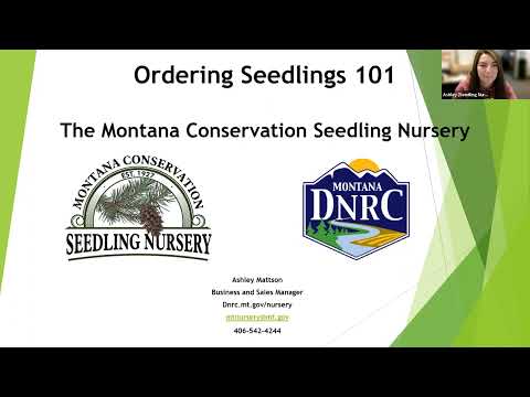 Seedlings 101: Planting & Care