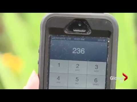 New area code
