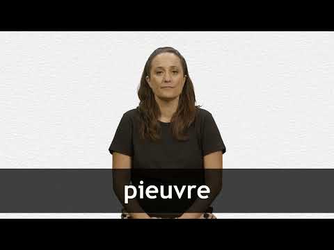 English Translation of “PIEUVRE” | Collins French-English Dictionary