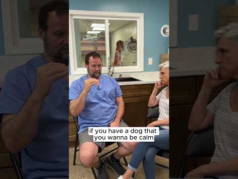 Spay or Neuter to Control the Pet Population by Marc Smith, DVM, MS