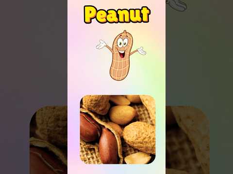 Nut Names in English | Toddlers | Babies First Word | Learning English | Sparkabilities