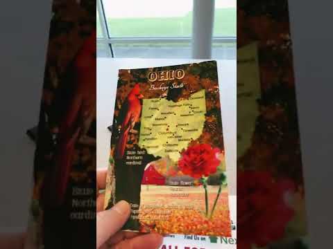 I Got mail #Life with Ron& Chevy