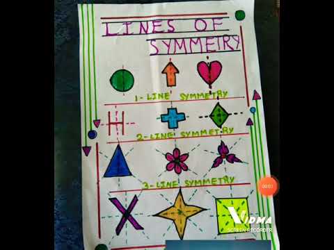 lines of symmetry maths //