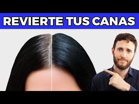 Las Canas Se Frenan De Esta Manera