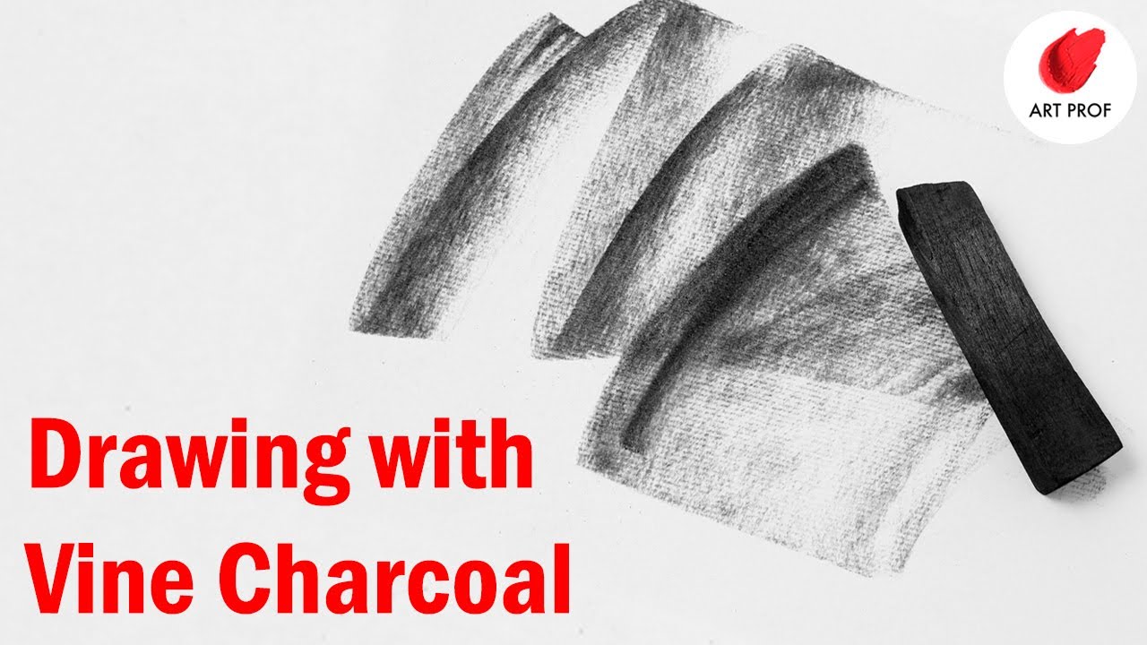 Vine Charcoal Drawing for Beginners, RISD Art Professor Demo