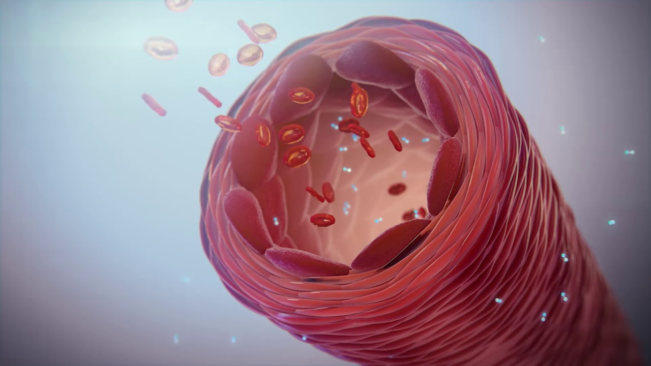 How Berkeley Life Professional works