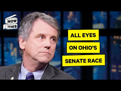 Ohio's Senate Race Is Crucial for Democrats This 2024 Election