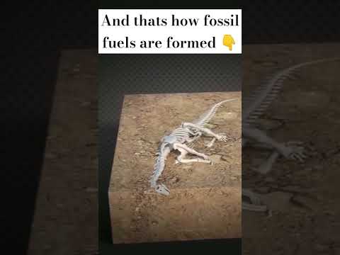 How are fossil fuels formed??? #fossilfuel #notes