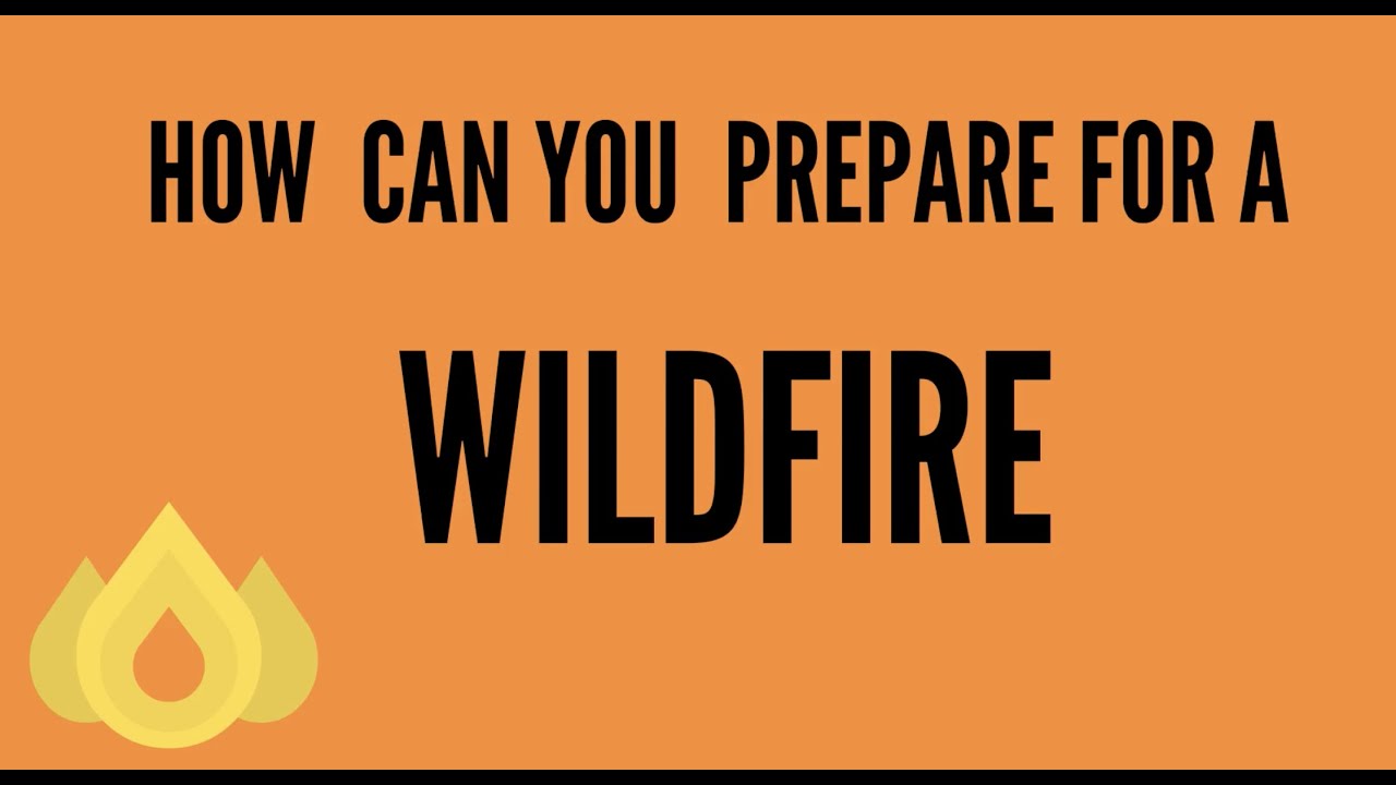 How can you prepare for a wildfire?