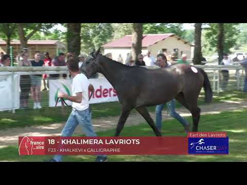 lot 18 KHALIMERA LAVRIOTS Chaser Day 2025