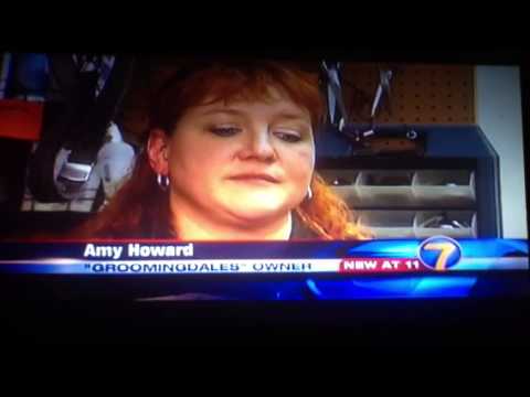 GroomingDales Channel 7 interview