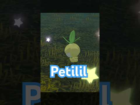 June/Pride Month Shinies Day 17: Petilil
