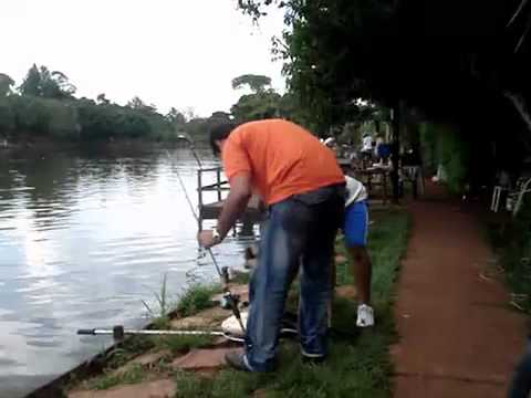 Fish Hit Guy Face by mrchill003 - Meme Center