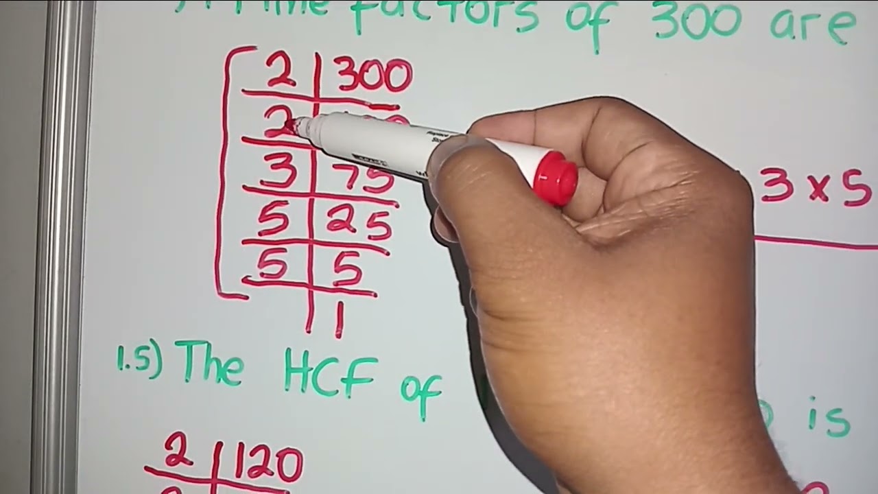 Term 1 Practice Test (Questions 1 and 2) - Grade 08 Mathematics