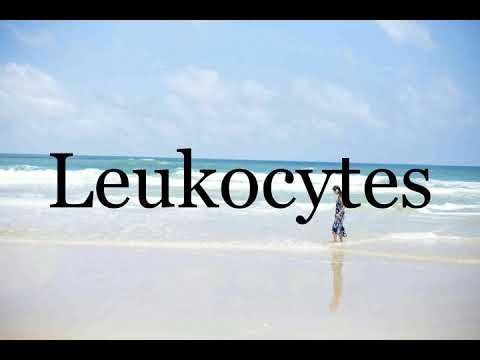 How To Pronounce Leukocytes🌈🌈🌈🌈🌈🌈Pronunciation Of Leukocytes