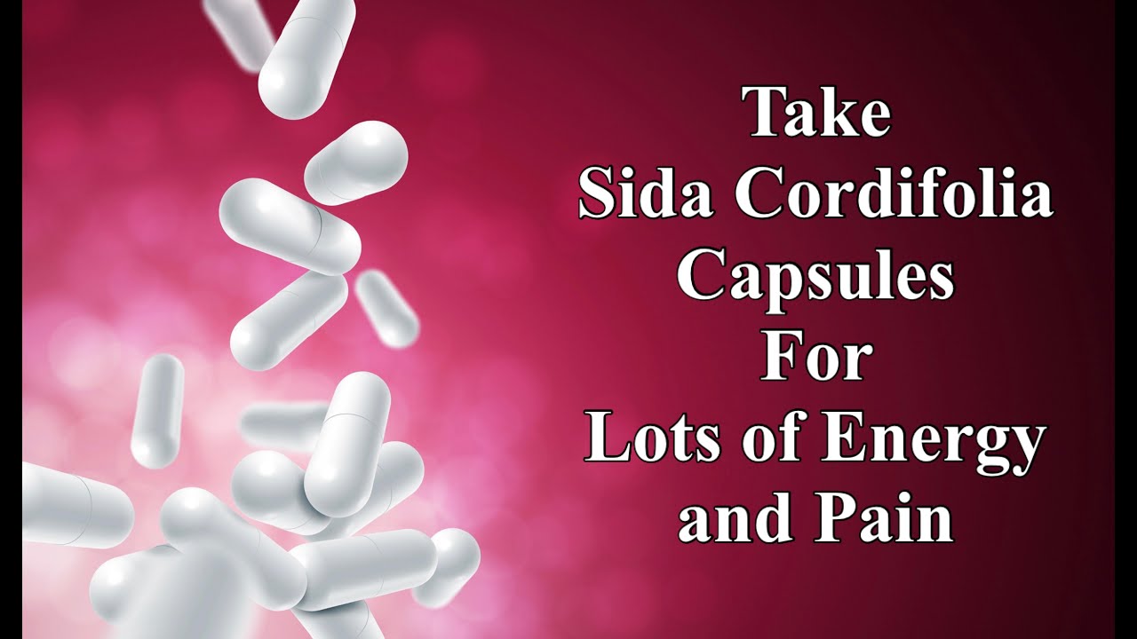 Take Sida Cordifolia Capsules for Lots of Energy and Pain