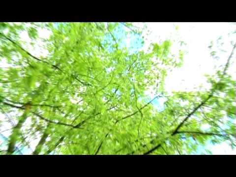 Hotel Holiday Inn Paris - charles de Gaulle Airport