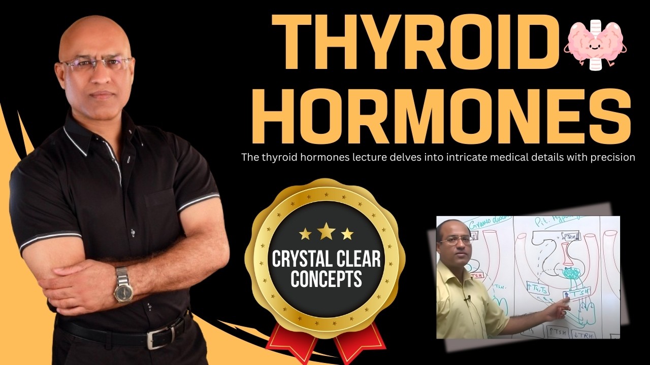 Understanding Thyroid Hormones: Functions, Disorders, and Treatments ...