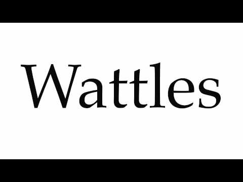 How to Pronounce Wattles