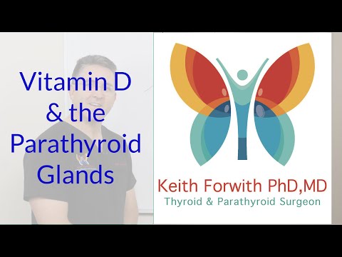 Vitamin D and the Parathyroid Glands