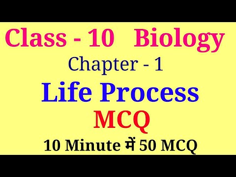 Class 10 Biology MCQ (Term 1 Exam) | Chapter 1 Life Processes Class 10 MCQ (Part 1) | Biology MCQs