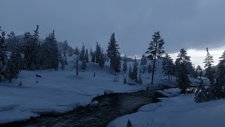 5K - RDR 2 FinityCycle - NEW lighting mod for Single Player and RedM at ...
