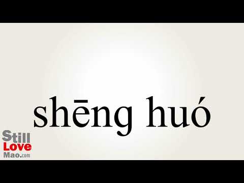 How to Say Life in Chinese
