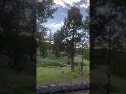 Yankee Meadows Camping | Paragonah, UT