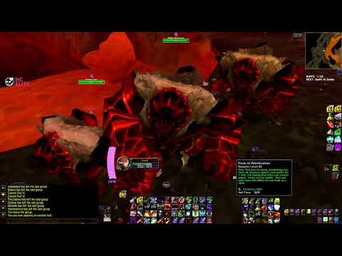Raid-Wide Petri Flask in Hardcore 💀💀💀💀