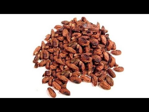 Neem Seed - Wholesale Price & Mandi Rate for Neem Kernel