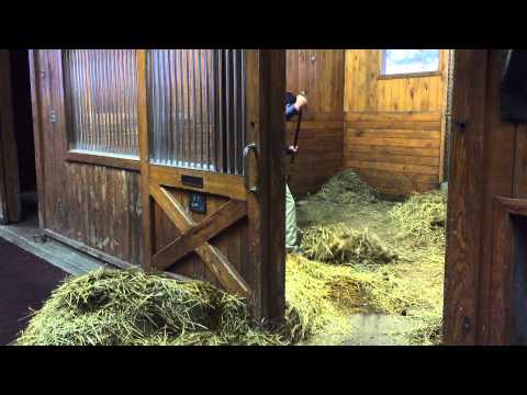 How to Muck Out a Stall
