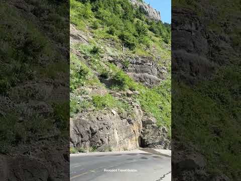 #Glacier's Going-to-the-Sun Road is now open for the 2025 season