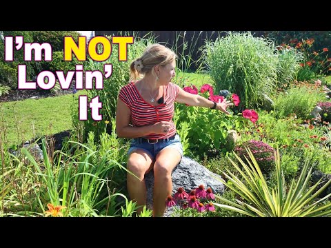 My Front Yard Garden After Vacation | What’s Blooming & What Needs Work