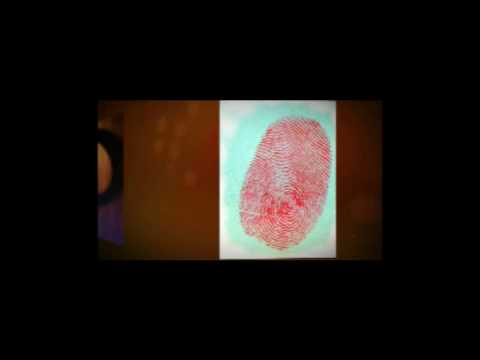 Forensic Jobs