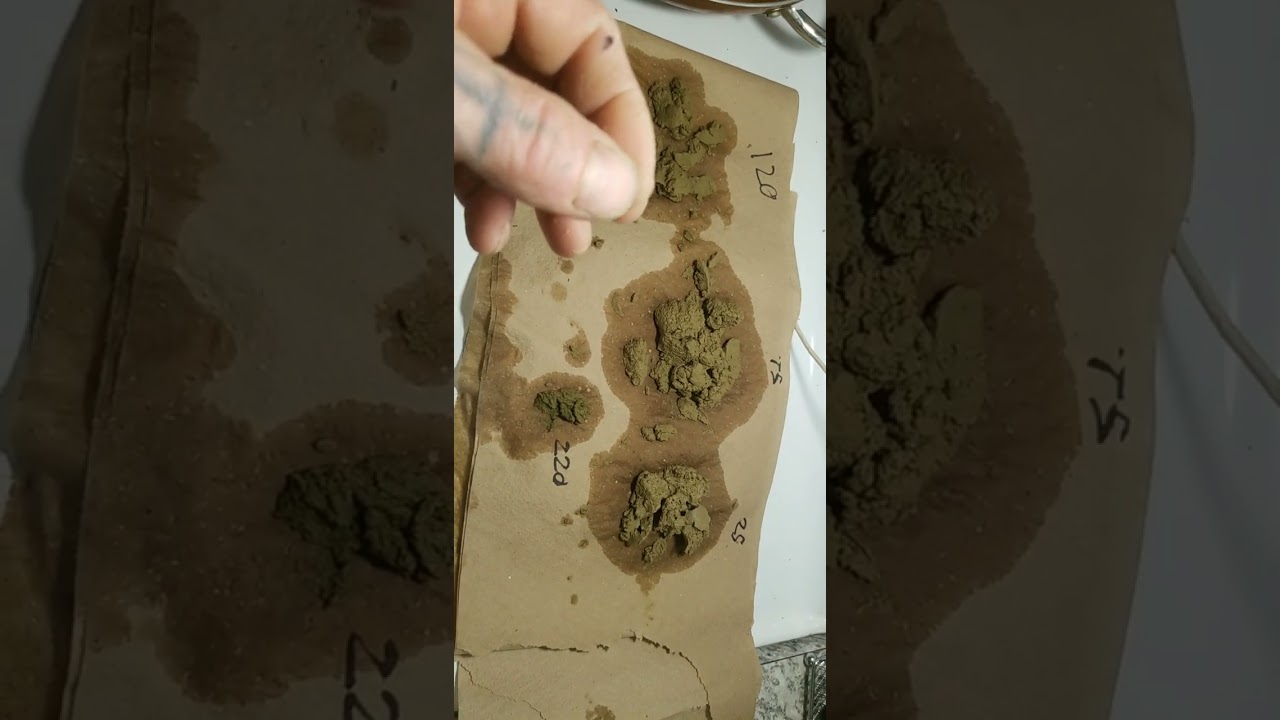 bubble hash laid out to dry  properly.