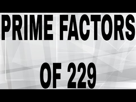 PRIME FACTORS OF 229