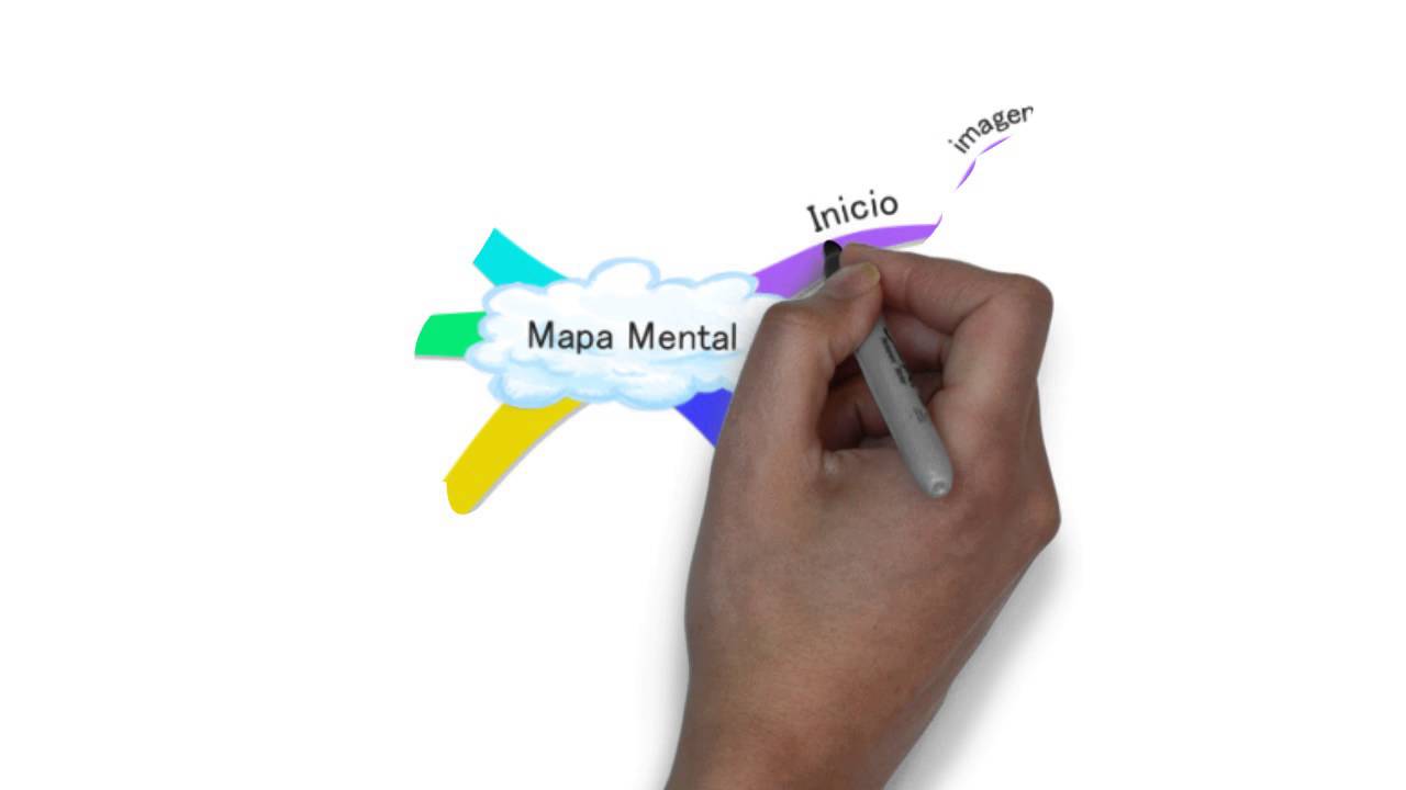 VISUAL ORGANIZERS