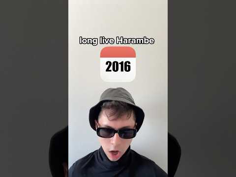 every meme since Gen Z was born.. 😵💫 #Recap #GenZ #2024