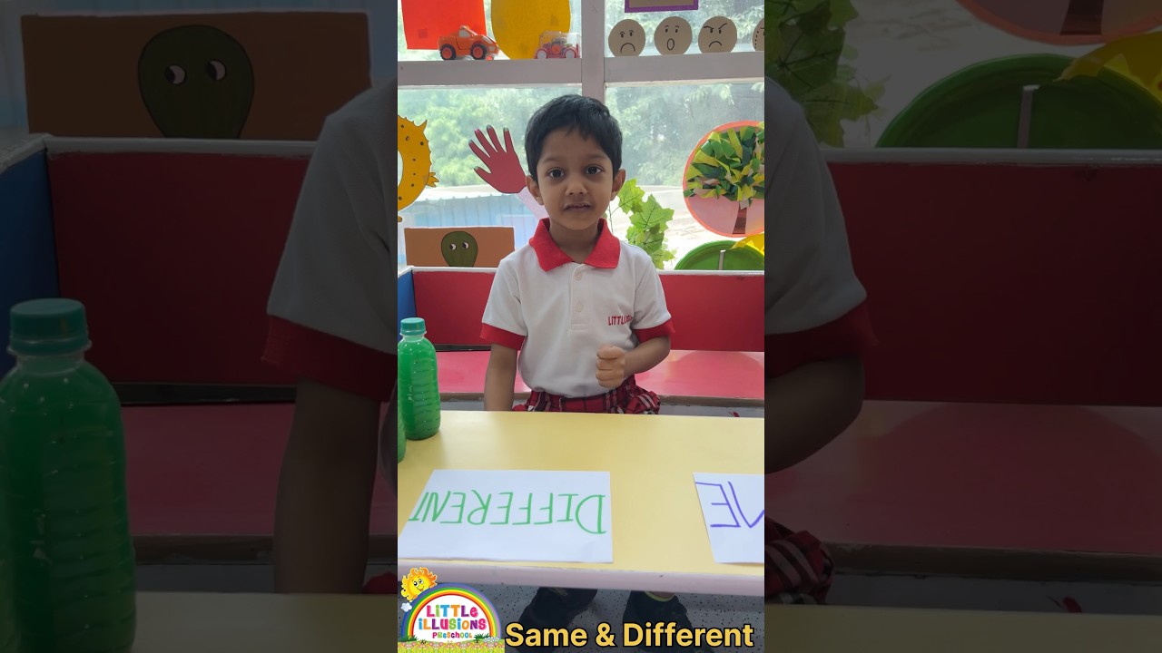 Same & Different Concept For Preschool Kids #littleillusionspreschool