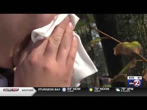 'High volume' of allergy patients seeing doctors