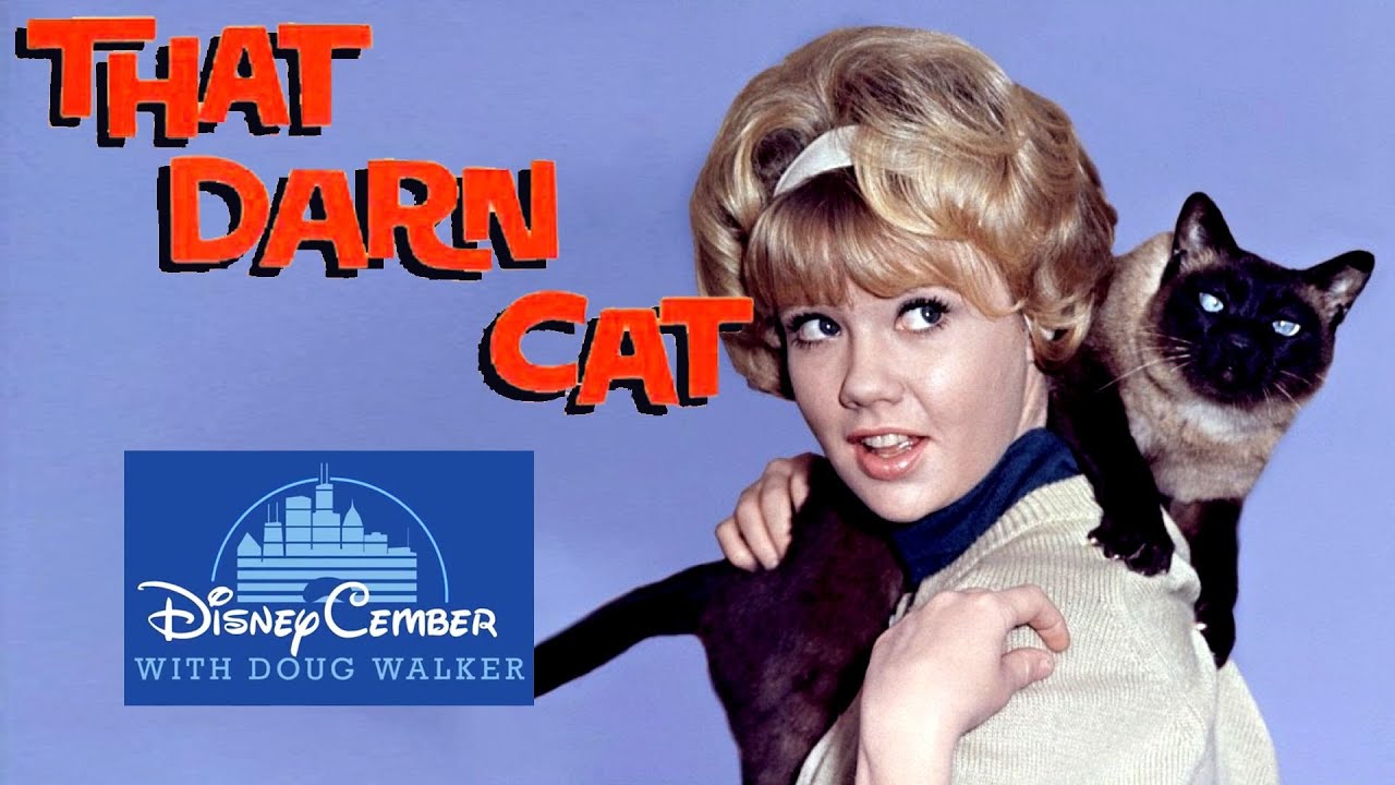 That Darn Cat! - DisneyCember