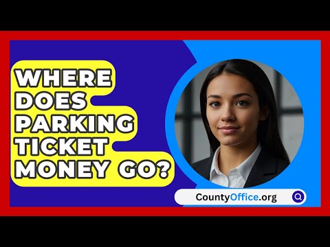 Where Does Parking Ticket Money Go? - CountyOffice.org