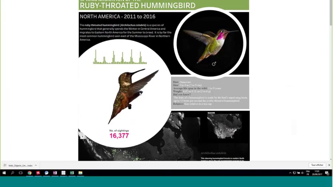 Embedding Web Objects in A Dashboard